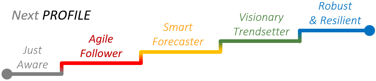 Innovation Profile Builder Workshop - From current state to future state